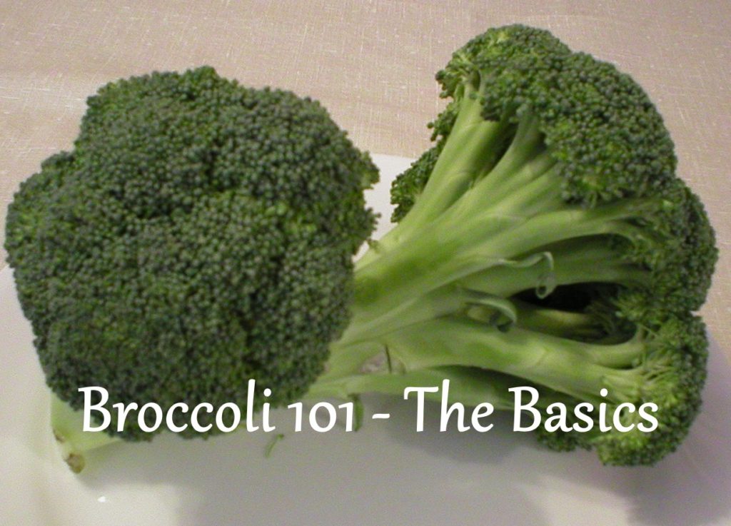 information about broccoli