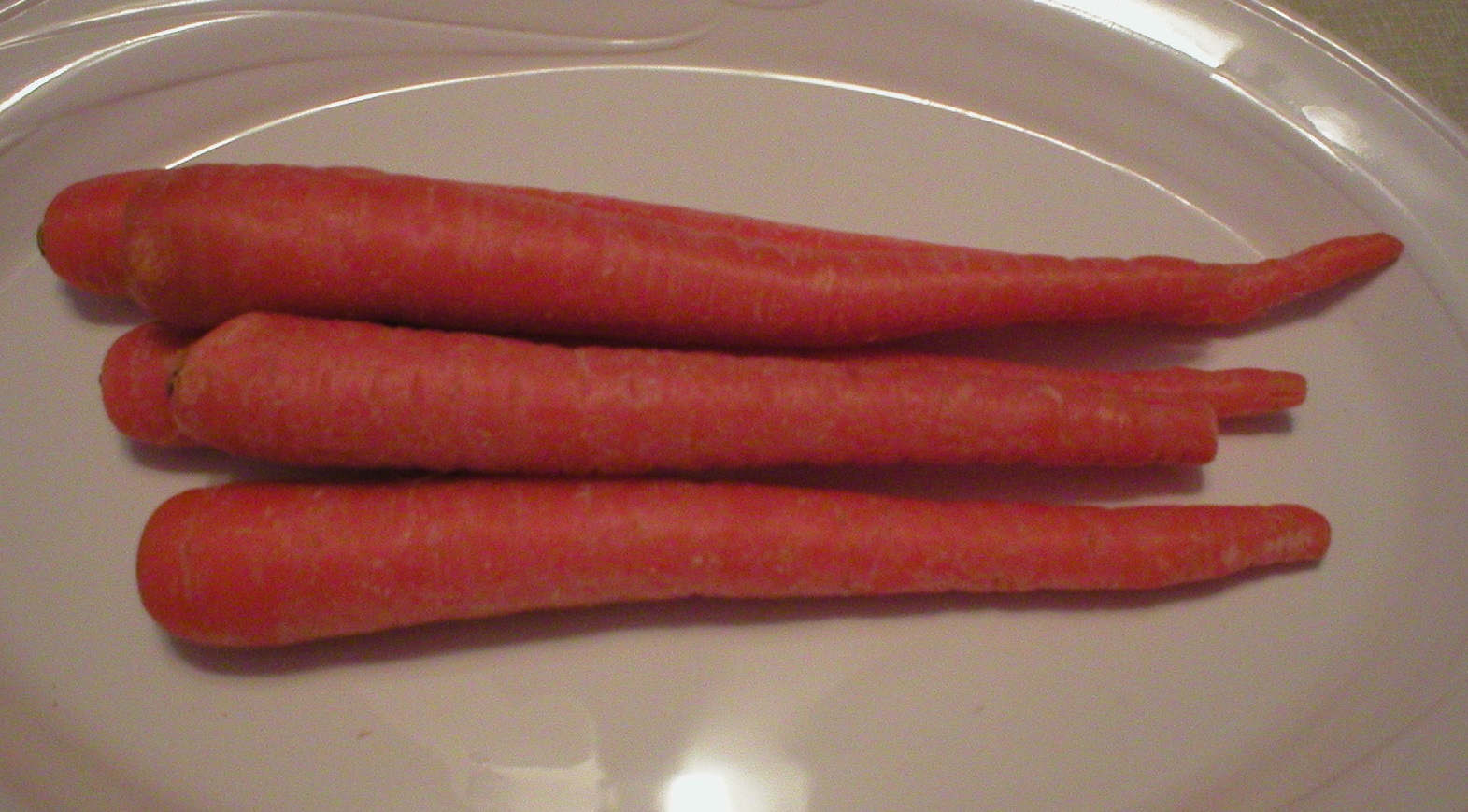 Carrots 101 – The Basics
