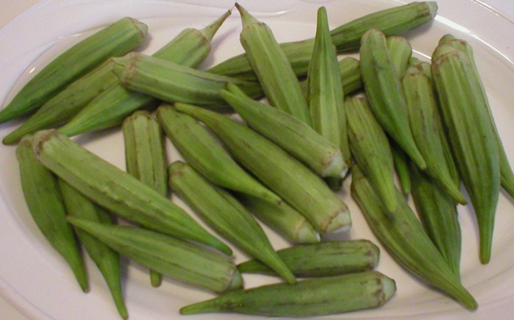 Okra 101 – The Basics