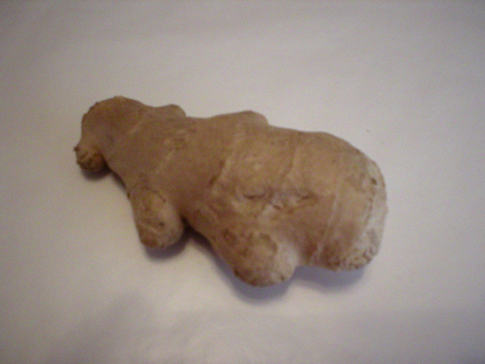 Ginger 101 – The Basics