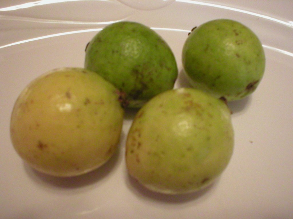 can you eat guava peel