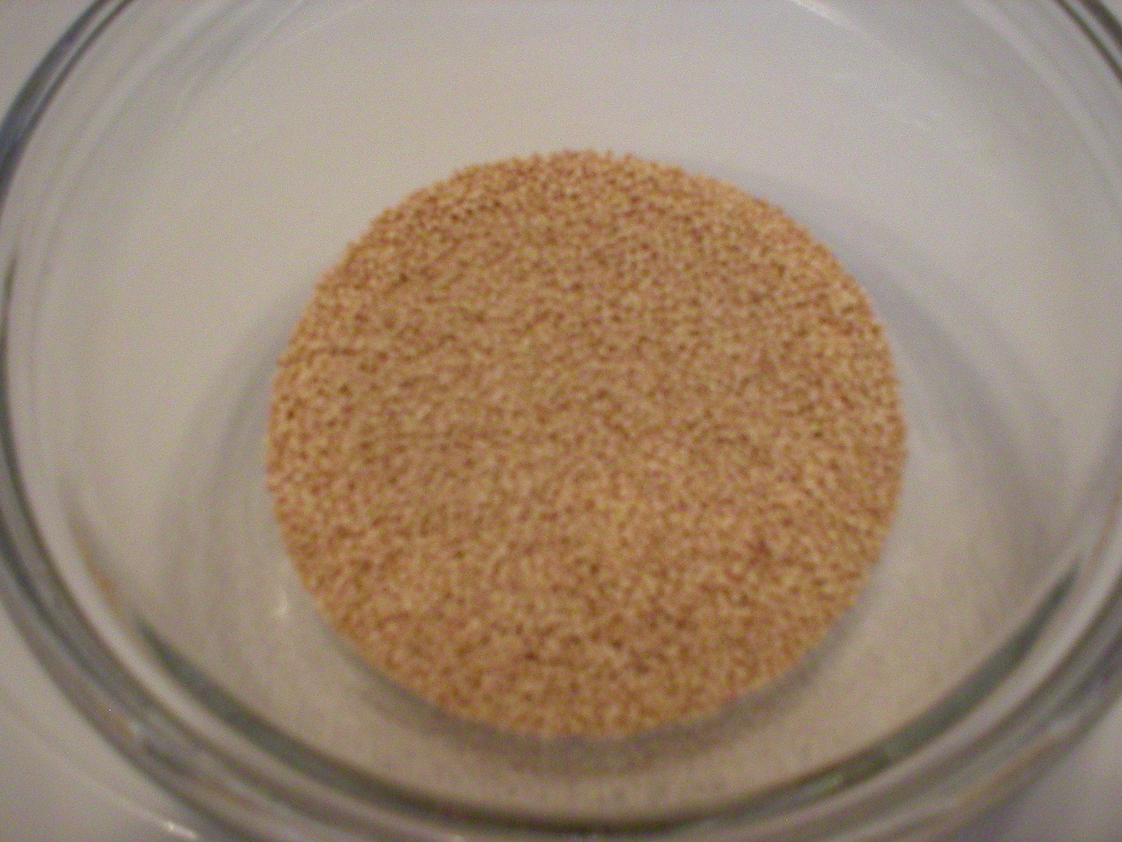 Amaranth 101 – The Basics