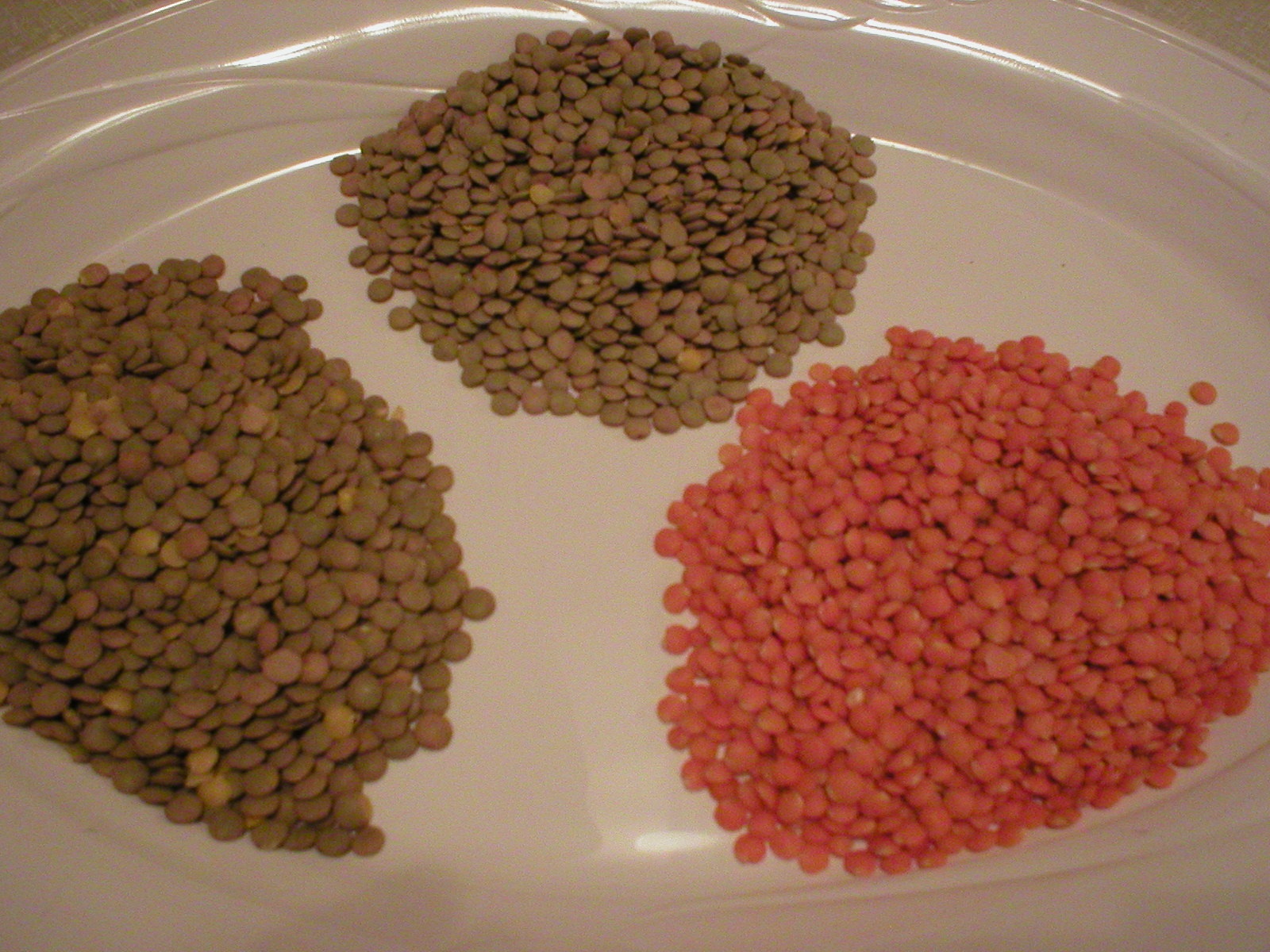 Lentils 101 – The Basics