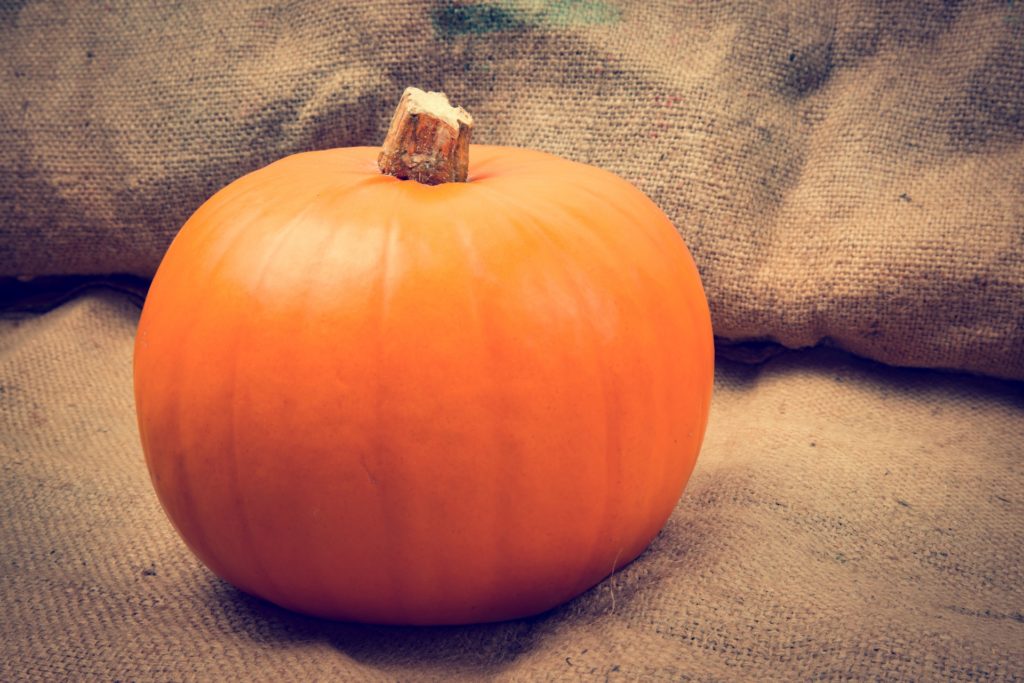 Pumpkin 101 – The Basics