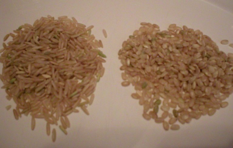 Rice 101 – The Basics