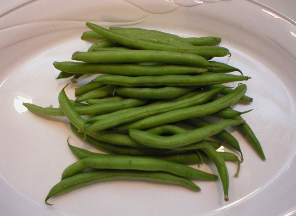 Green Beans 101 – The Basics