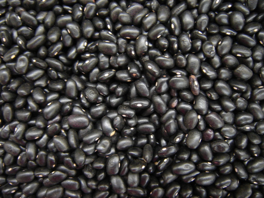 Black Beans 101 – The Basics