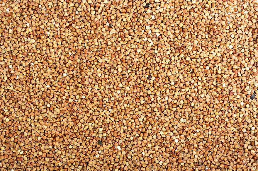 Buckwheat 101 – The Basics
