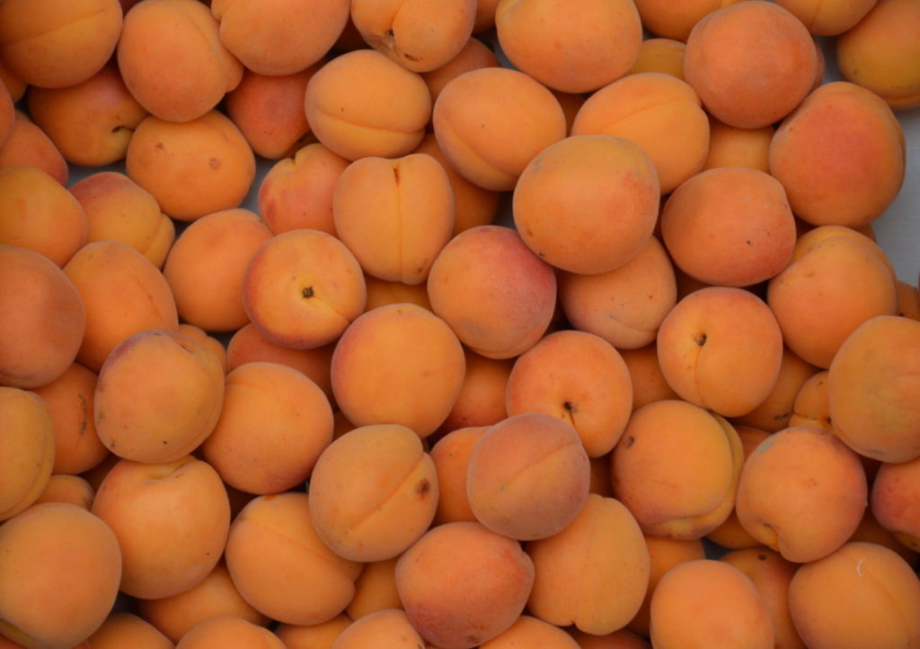 foods that go well with apricots
