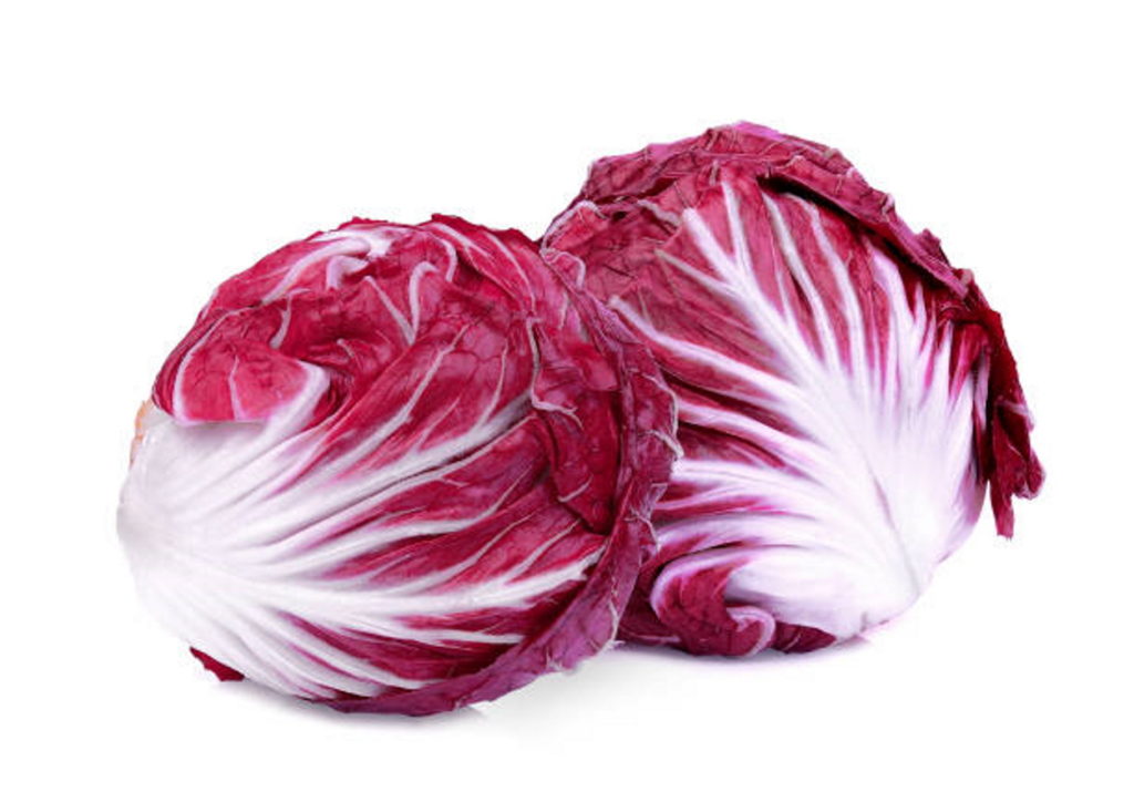 Radicchio 101 – The Basics