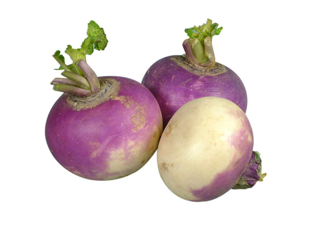 Turnips 101 – The Basics