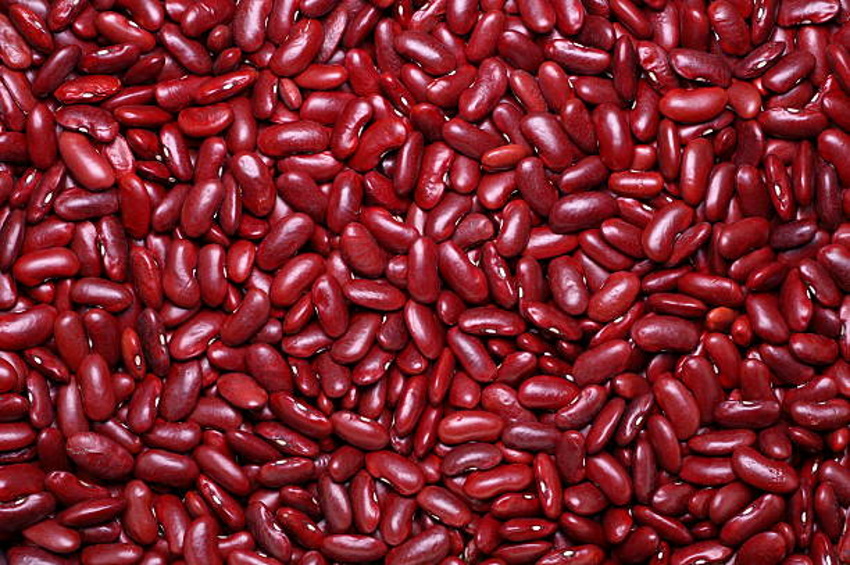 Kidney Beans 101 – The Basics