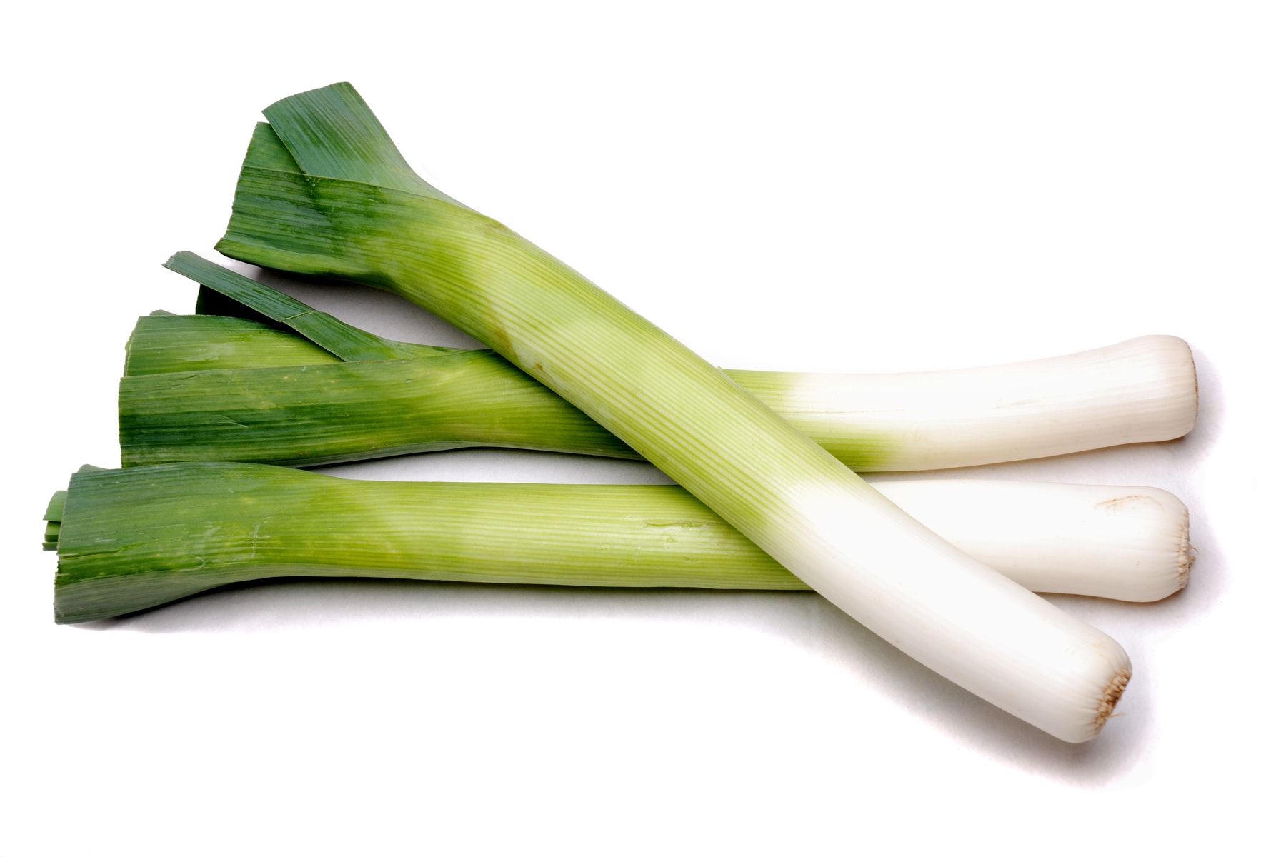 Leeks 101 – The Basics (REVISED)